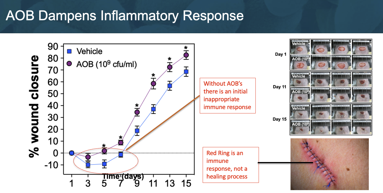 AOB and its impact on Inflammatory Conditions, and related Systemic ...